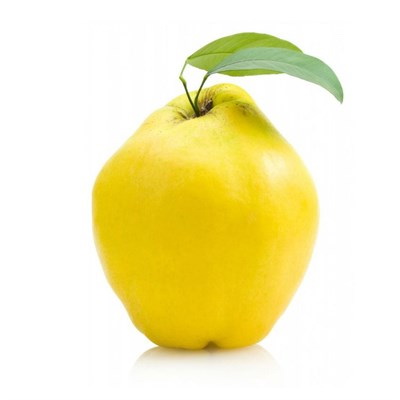 Fruit Types - OXYCAT Controlled Atmosphere Technologies