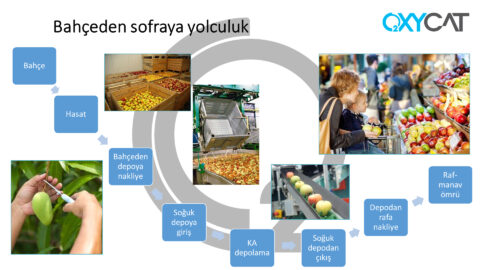 Controlled Atmosphere Storage - OXYCAT Controlled Atmosphere Technologies