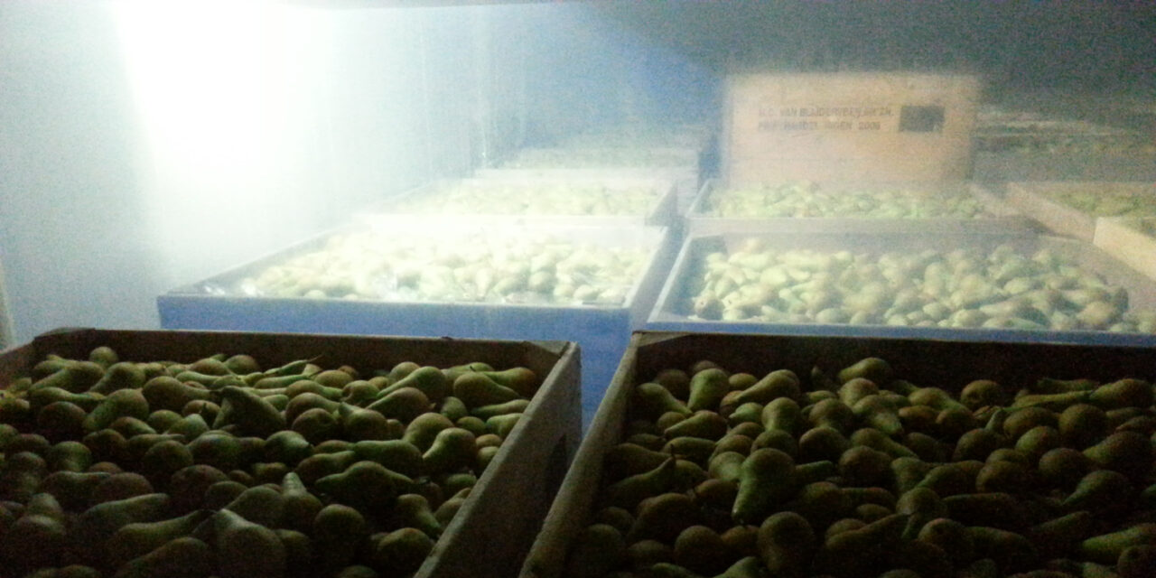 Applications - OXYCAT Controlled Atmosphere Technologies