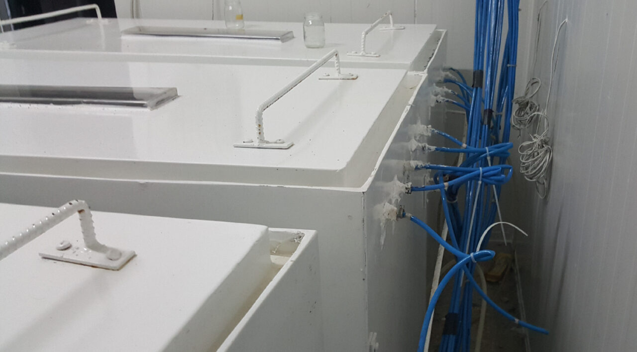 Applications - OXYCAT Controlled Atmosphere Technologies